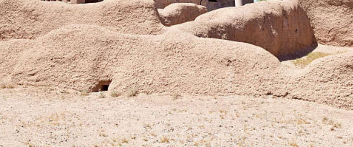 Caliche FAQs: Can You Grow Trees in Caliche?