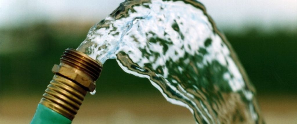 Planting & New Tree Care Articles • Titan Tree Care