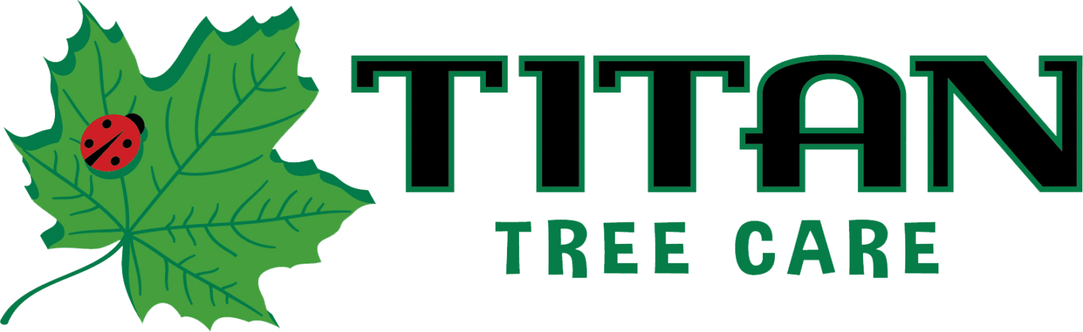 Beware the Invasive Stinknet • Titan Tree Care