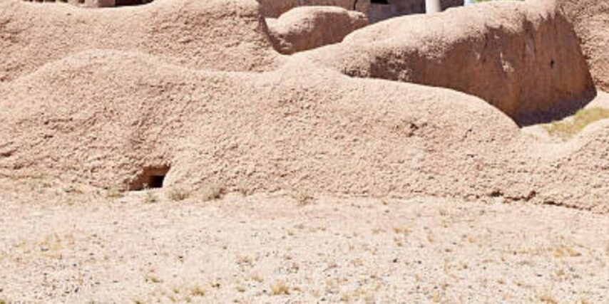 Caliche FAQs: Can You Grow Trees in Caliche?